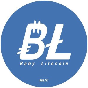 Audit Baby LTC – Skeleton Ecosystem