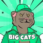 Audit Big Cats BSC – Skeleton Ecosystem